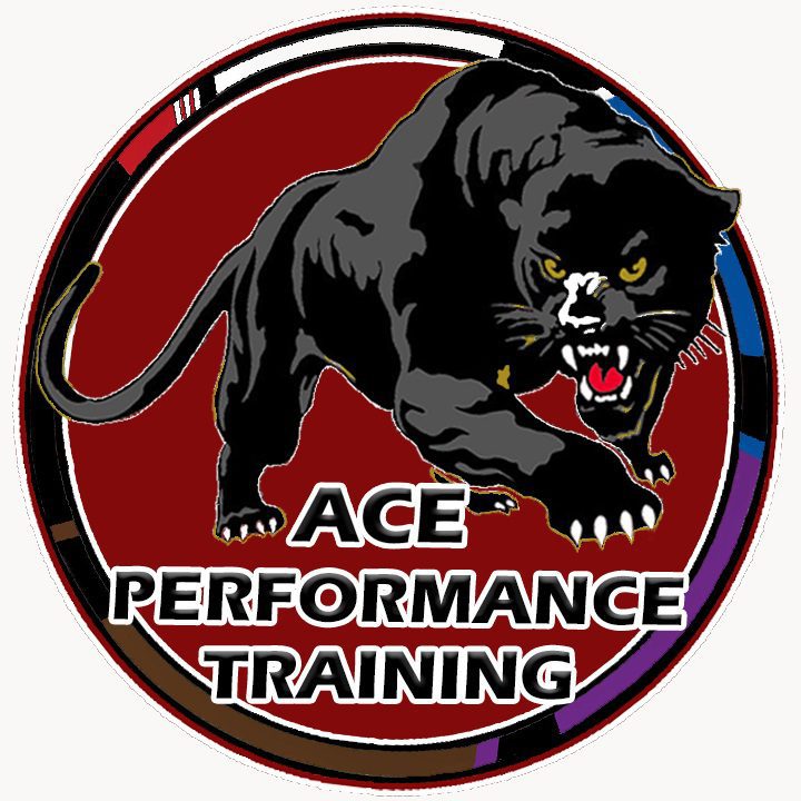 Ace Performance Training | BJJ Globetrotters